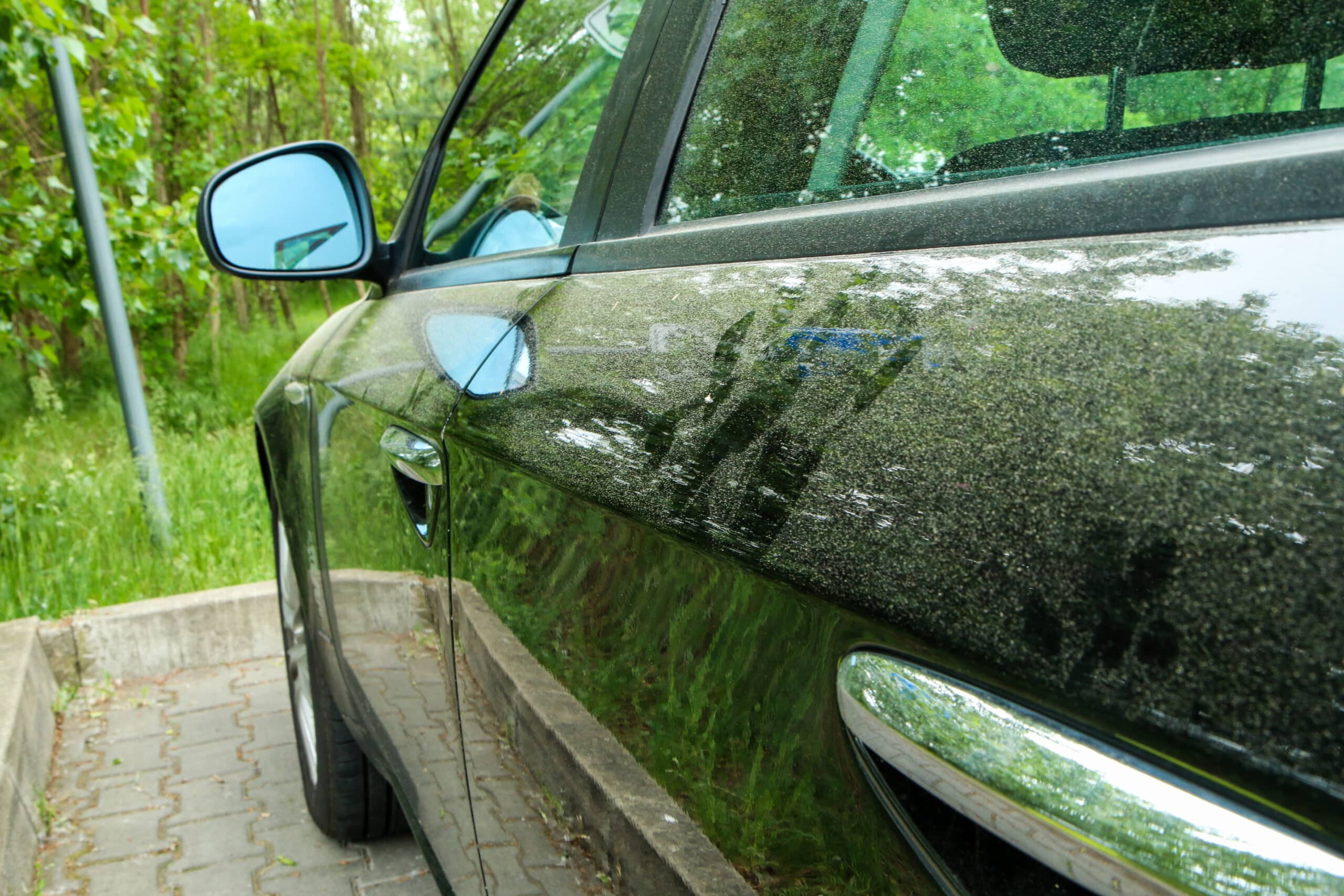 10 Ways to Prevent Pollen Problems · SPA Car Wash